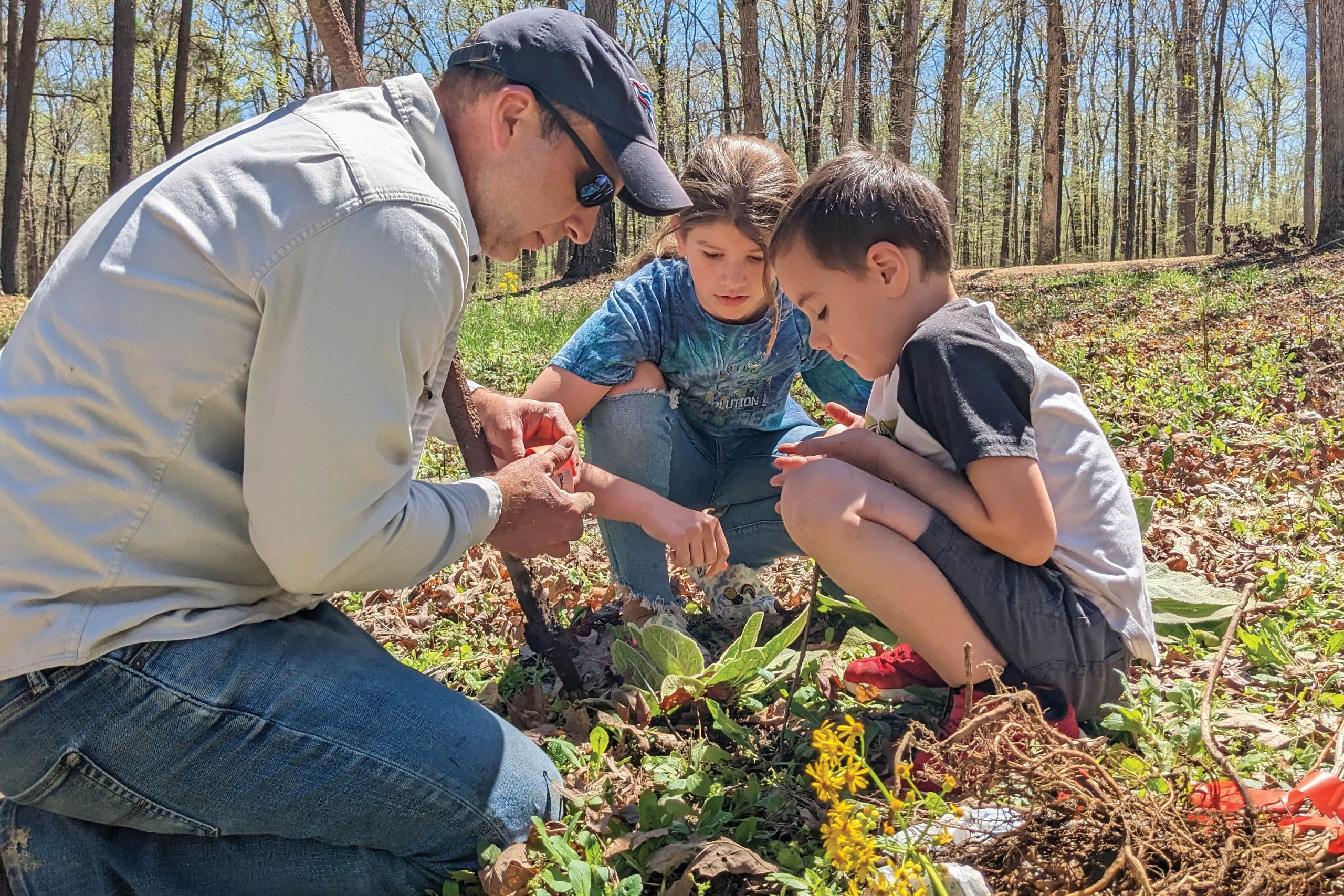 Meet a Tennessee Family Commitment to Tree Farming - Farm Flavor