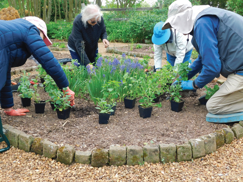 Tennessee Master Gardener Program Makes an Impact on Volunteers - Farm ...