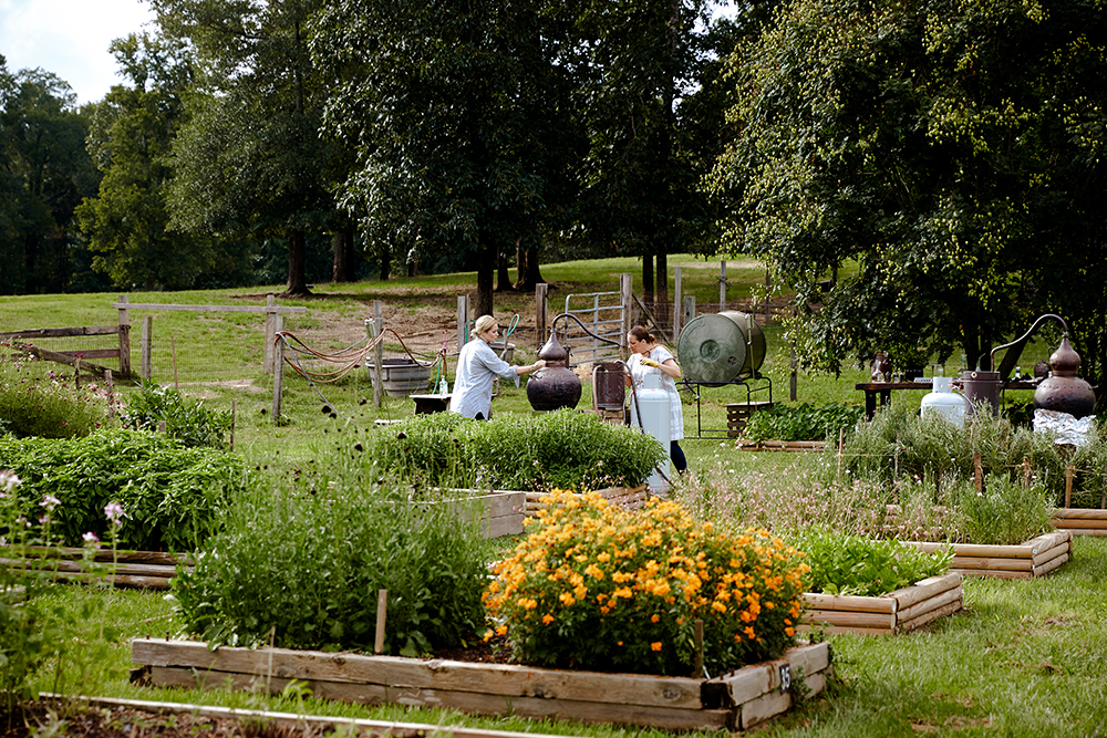Business Is Blooming at Stone Hollow Farmstead in Alabama - Farm Flavor