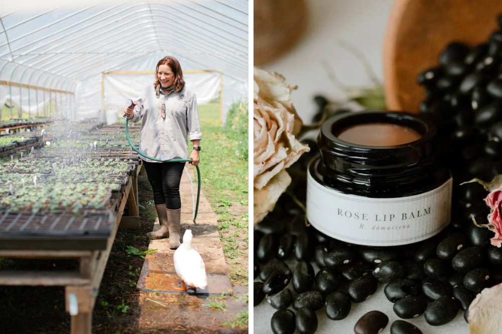 Business Is Blooming at Stone Hollow Farmstead in Alabama - Farm Flavor