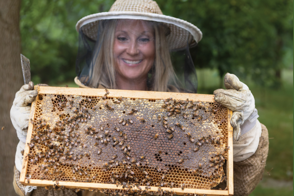 Illinois Beekeepers Work to Protect Honeybees and Educate - Farm Flavor
