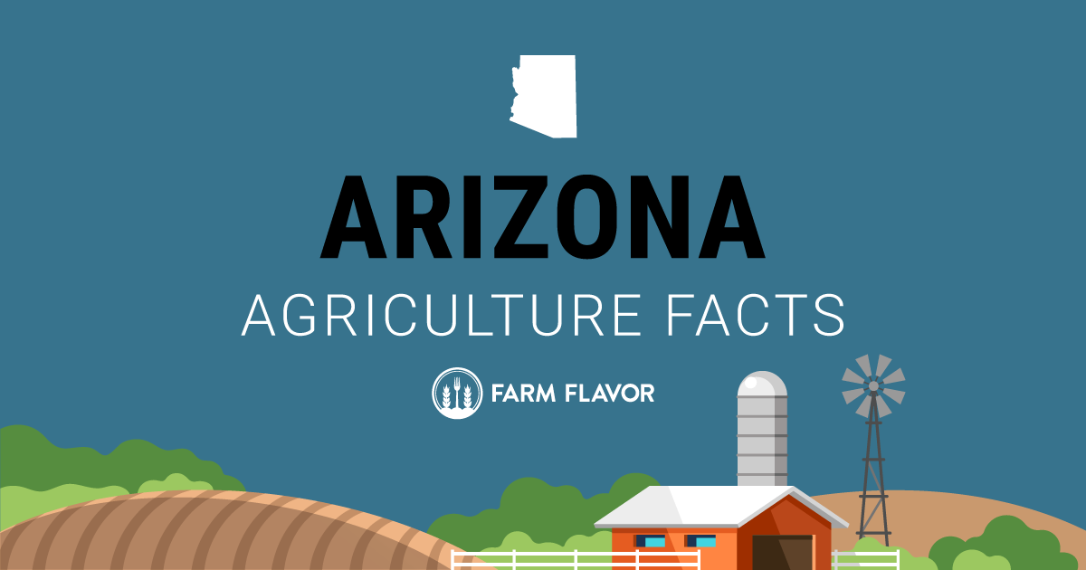 Top Arizona Agriculture Facts From the 2024 Census of Agriculture ...