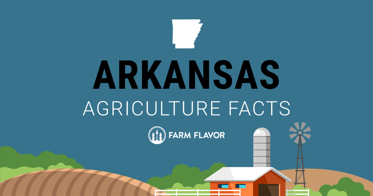 Top Arkansas Agriculture Facts From the 2024 Census of Agriculture ...