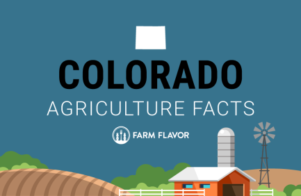 Colorado Agriculture - Farm Flavor