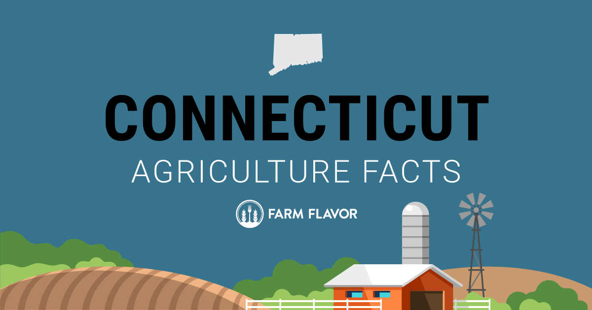 Top Connecticut Agriculture Facts – 2024 Census of Agriculture - Farm ...