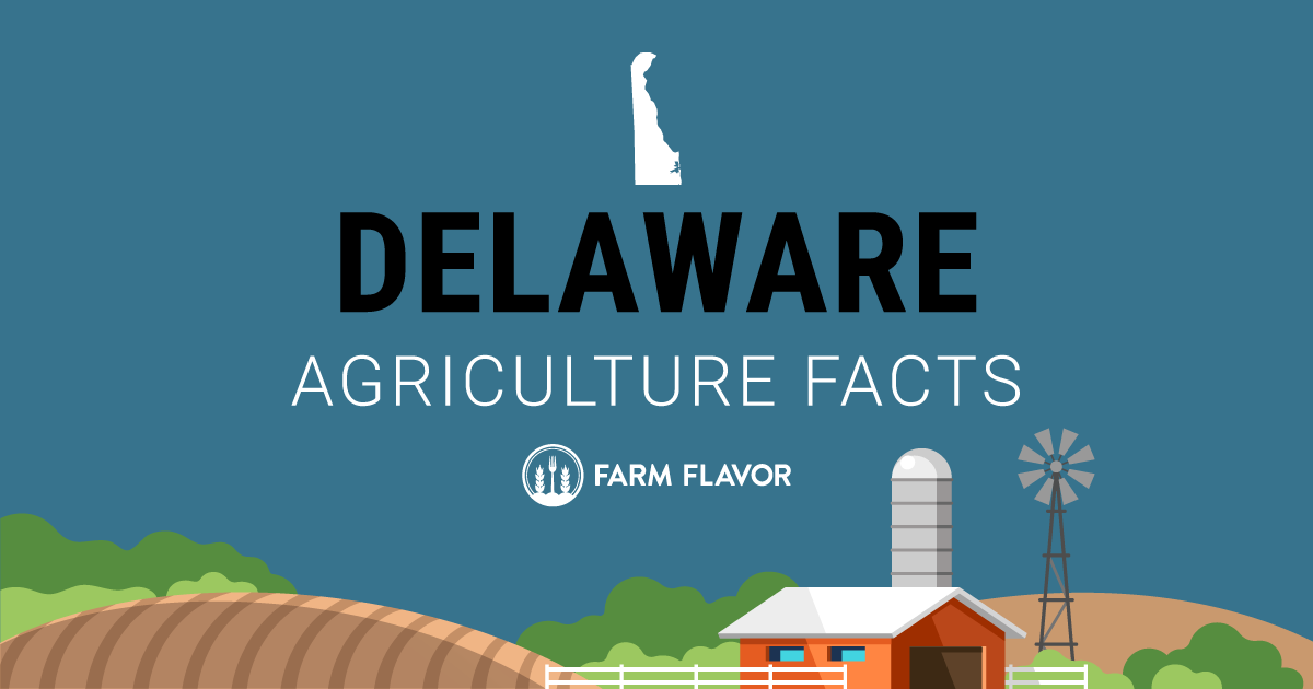 Top Delaware Agriculture Facts From the 2024 Census of Agriculture ...
