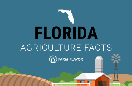 Florida Agriculture - Farm Flavor