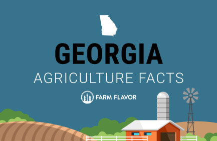 Georgia Agriculture - Farm Flavor