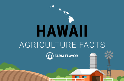 Hawaii Agriculture - Farm Flavor