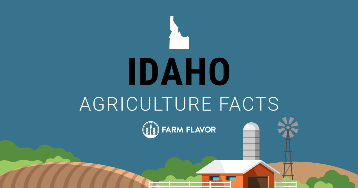 Top Idaho Agriculture Facts From the 2024 Census of Agriculture - Farm ...