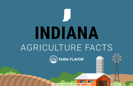 Indiana Agriculture - Farm Flavor