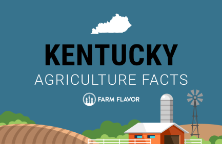 Kentucky Agriculture - Farm Flavor