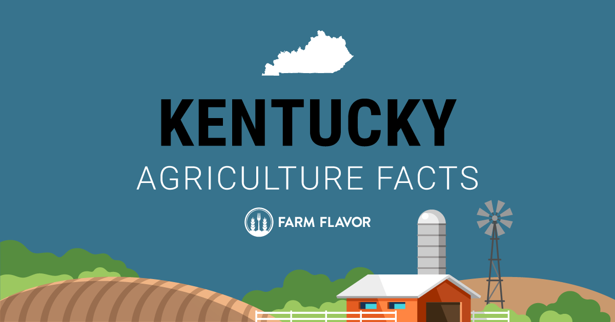 Top Kentucky Agriculture Facts From the 2024 Census of Agriculture ...