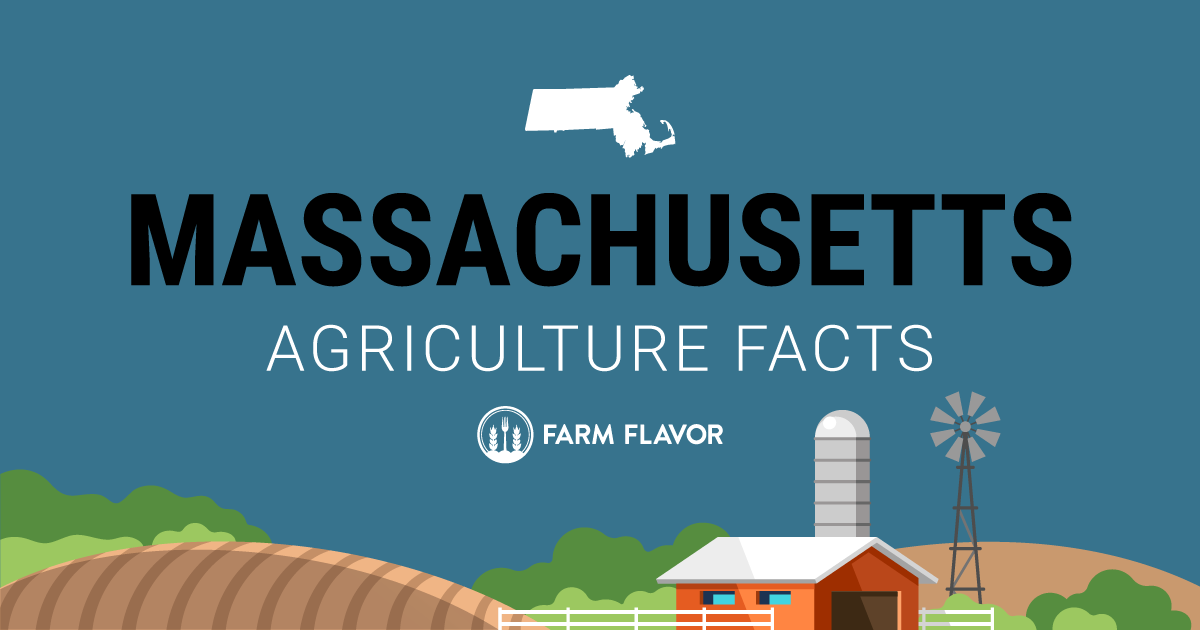 Top Massachusetts Agriculture Facts – 2024 Census of Agriculture - Farm ...