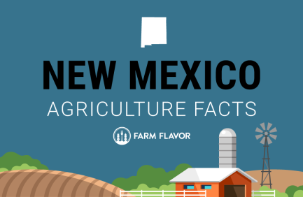 New Mexico Agriculture - Farm Flavor