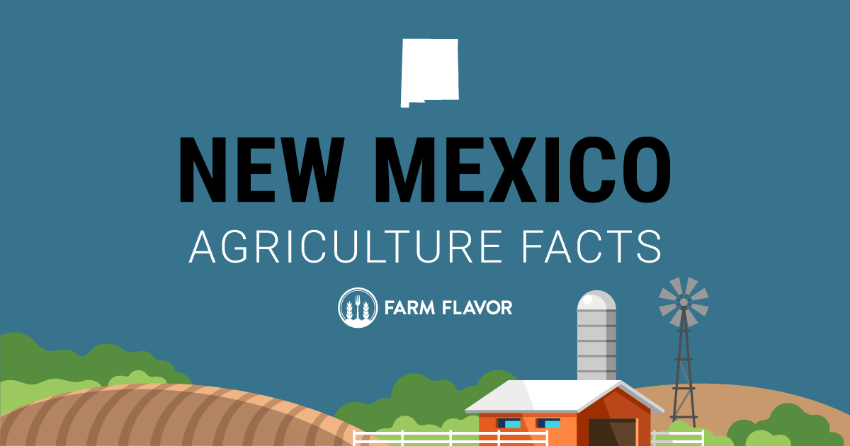 Top New Mexico Agriculture Facts From the 2024 Census of Agriculture ...