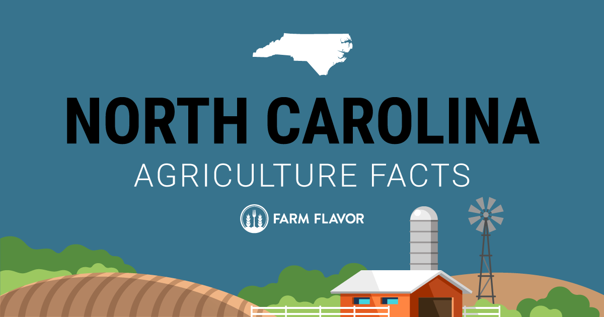 Top North Carolina Agriculture Facts – 2024 Census of Agriculture ...