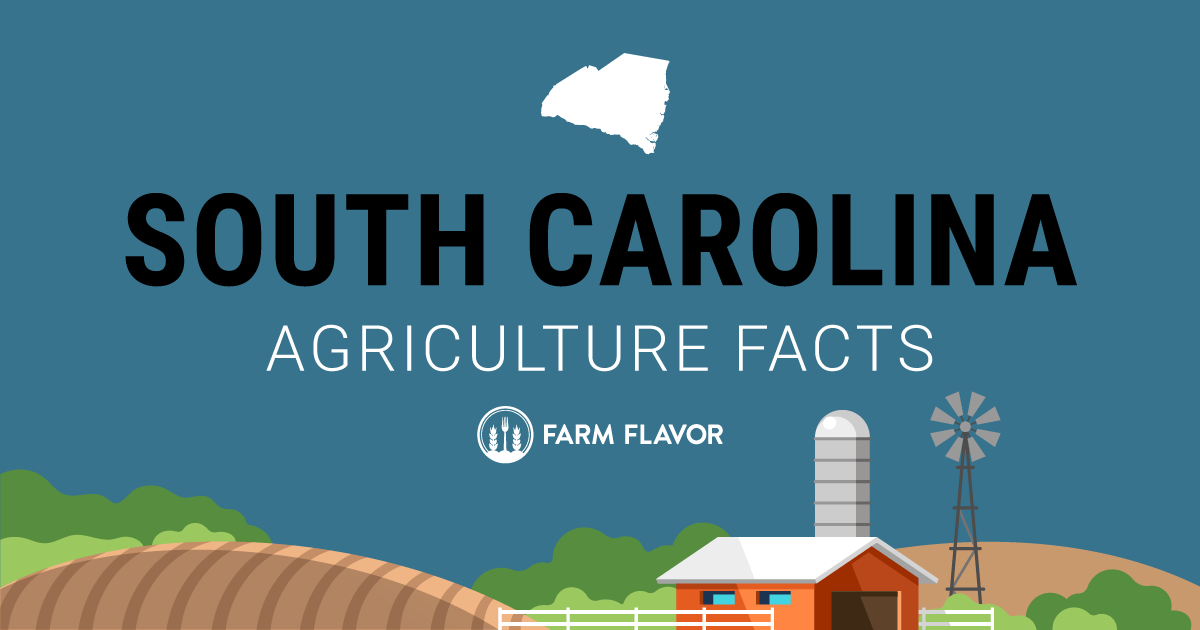 Top South Carolina Agriculture Facts – 2022 Census of Agriculture