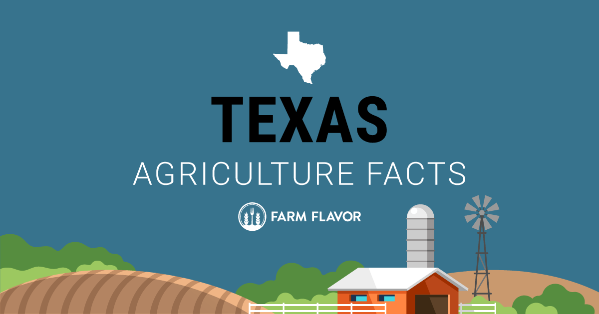 Top Texas Agriculture Facts From the 2024 Census of Agriculture - Farm ...