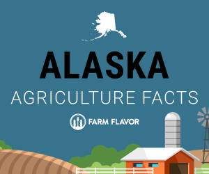 Alaska Agriculture - Farm Flavor