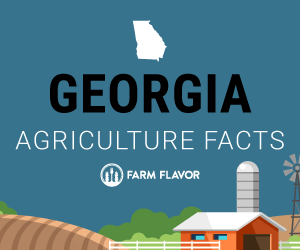 Georgia Agriculture - Farm Flavor