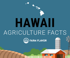 Hawaii Agriculture - Farm Flavor