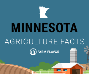 Minnesota Agriculture - Farm Flavor