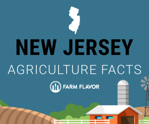 New Jersey Agriculture - Farm Flavor