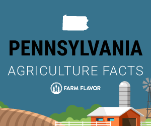 Pennsylvania's Top 10 Ag Products (Infographic) - Farm Flavor