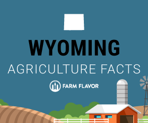 Wyoming Agriculture - Farm Flavor