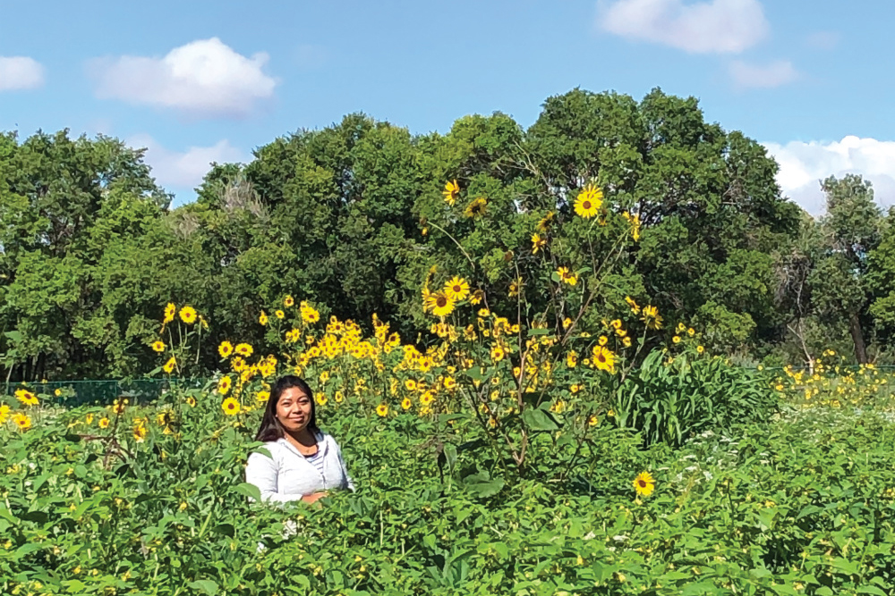Colorado's Agriculture Career Opportunities Provide an Array of Jobs ...