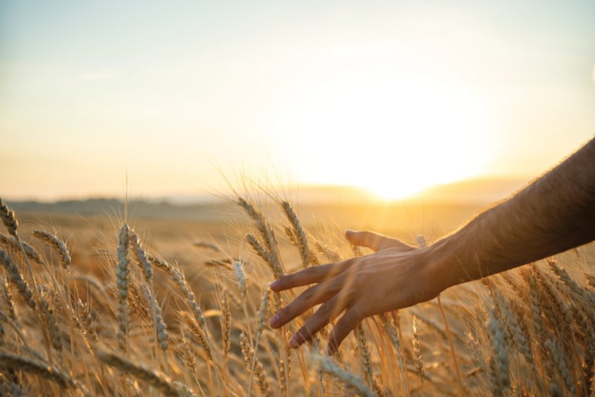 Local Colorado Companies Bridge Gap Between Producers and Consumers ...