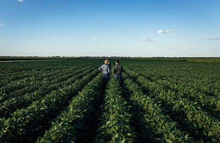 Texas Agriculture - Farm Flavor
