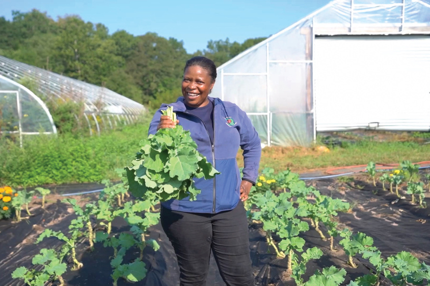 Connecticut Programs Are Empowering BIPOC Farmers for a Sustainable ...