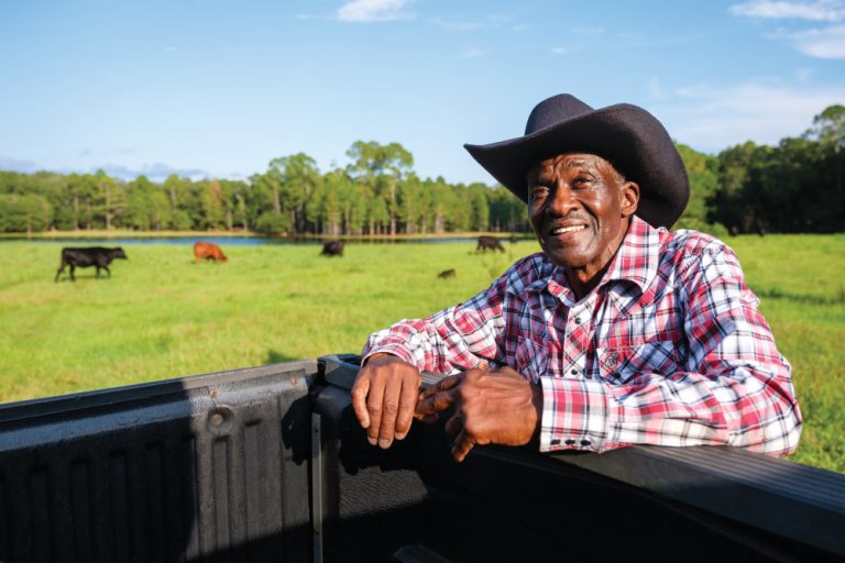Black History Month on the Farm: These Black Farmers Are Making a Big ...
