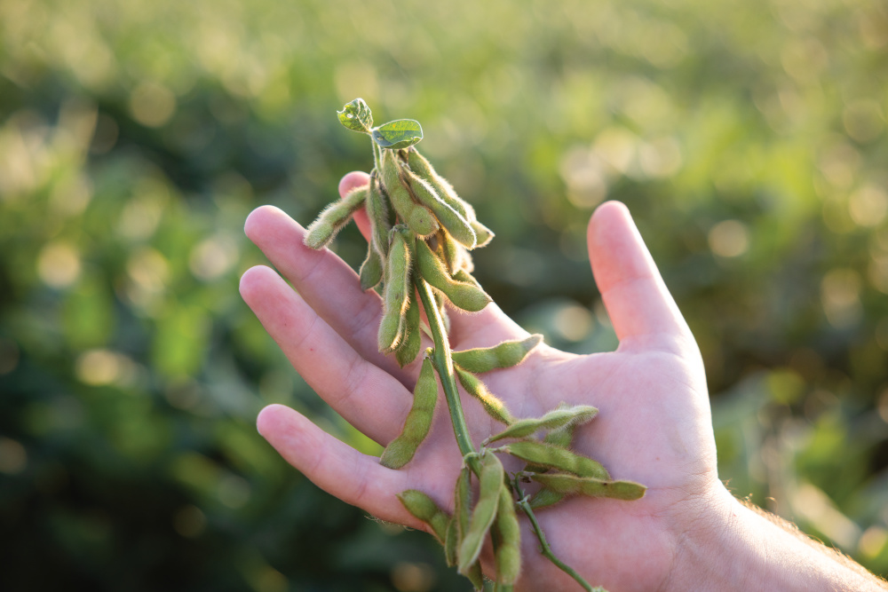 Agriculture Technology Advancements Revolutionize Mississippi Ag ...