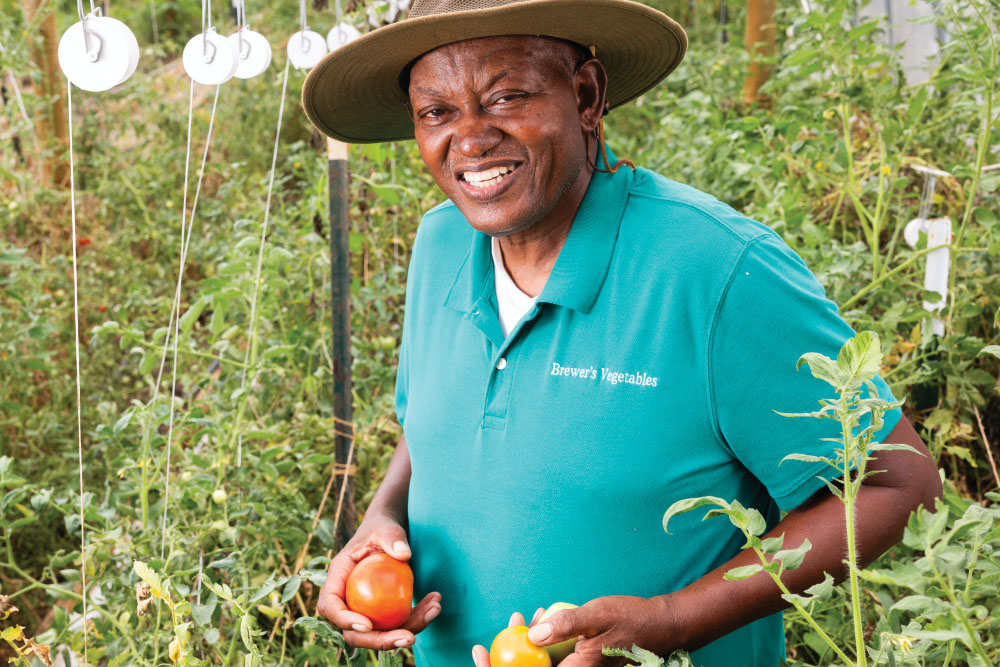 Mississippi Local Food Purchase Assistance Program Connects Farmers ...