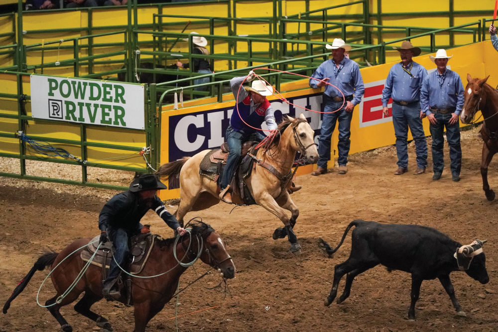 Mississippi Rodeo Livestock and Animal Athletes Travel the Nation ...