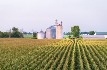 Indiana Agriculture - Farm Flavor