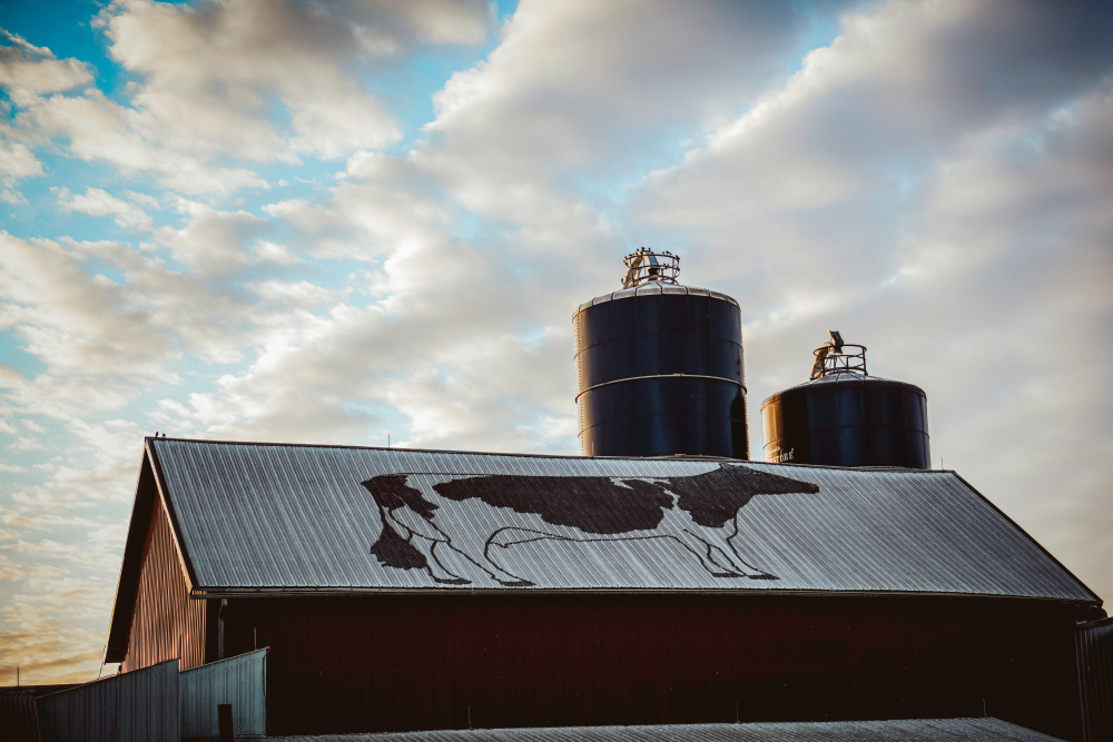 Indiana Dairy Farms Welcome Visitors for an Inside Look at Farm Life ...