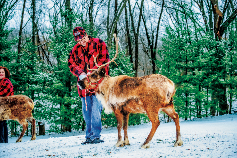 Visit These U.S. Reindeer Farms To Meet a Real Rudolph This Holiday ...