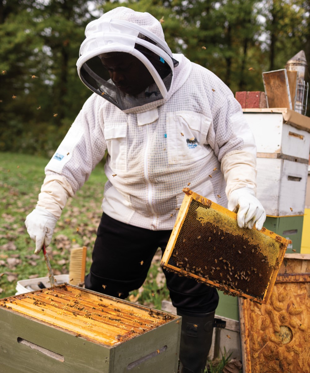 Linda’s Bee Farm in Ohio Is a Sweet Success - Farm Flavor