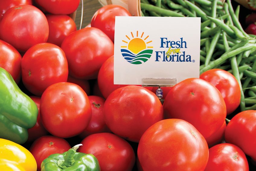 Enjoy Fresh From Florida Products in Your Everyday Life - Farm Flavor