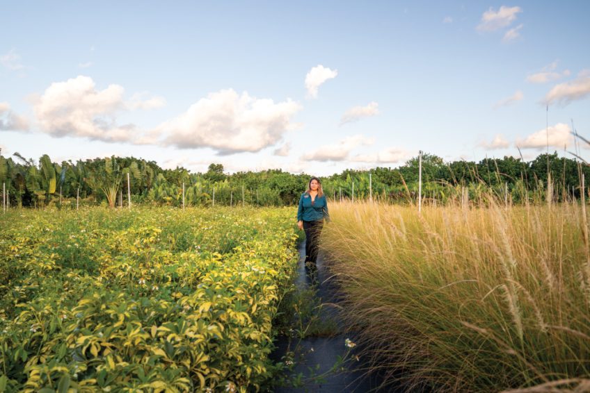 Fresh From Florida 2019 - Farm Flavor
