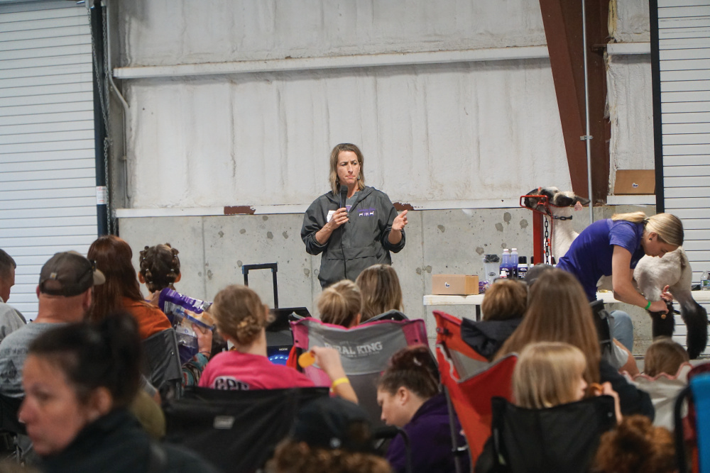 Nationally Recognized Shepherd Tracy Dendinger Trains Champion Showmen ...