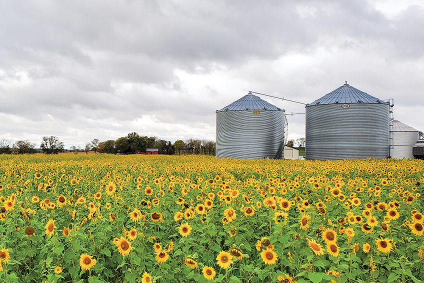 Ohio Farmers Join H2Ohio Initiative to Improve Water Quality - Farm Flavor