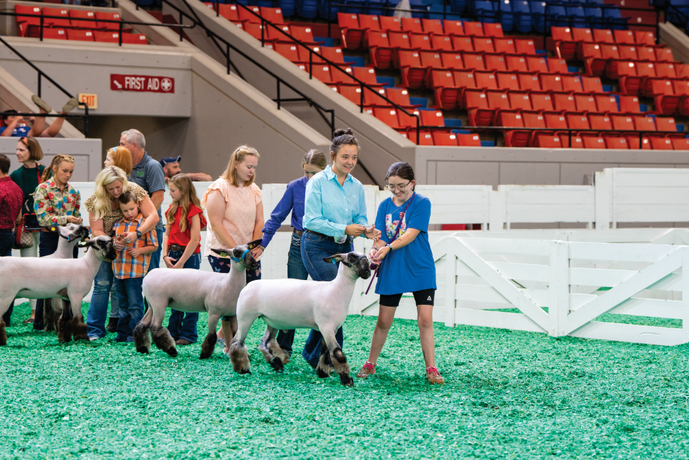 Sunshine Class Empowers Special Needs Youth Through Livestock Shows ...