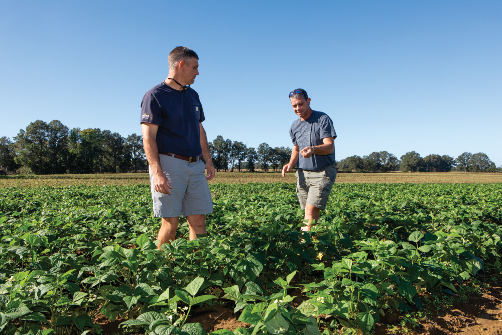 Murdock & Sons Carries on Centuries-Old Farming Legacy in Kentucky ...