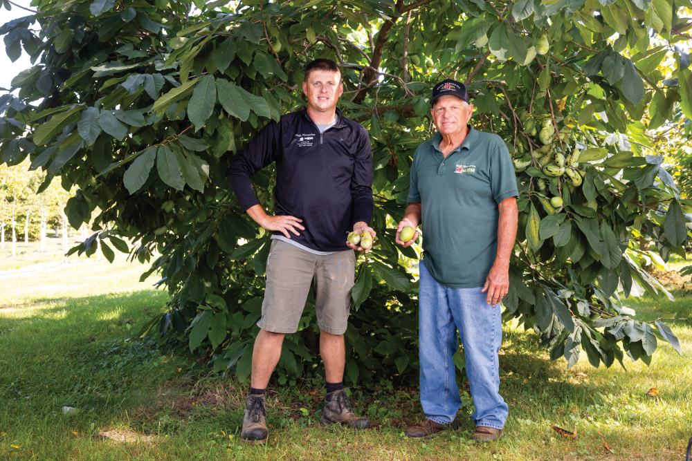Nash Nurseries in Michigan Cultivates a Centennial Legacy - Farm Flavor
