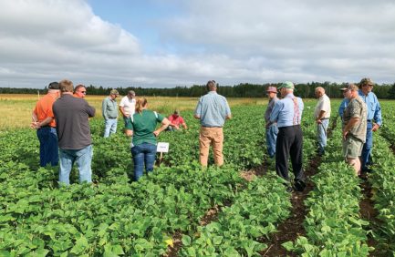 Michigan Agriculture - Farm Flavor